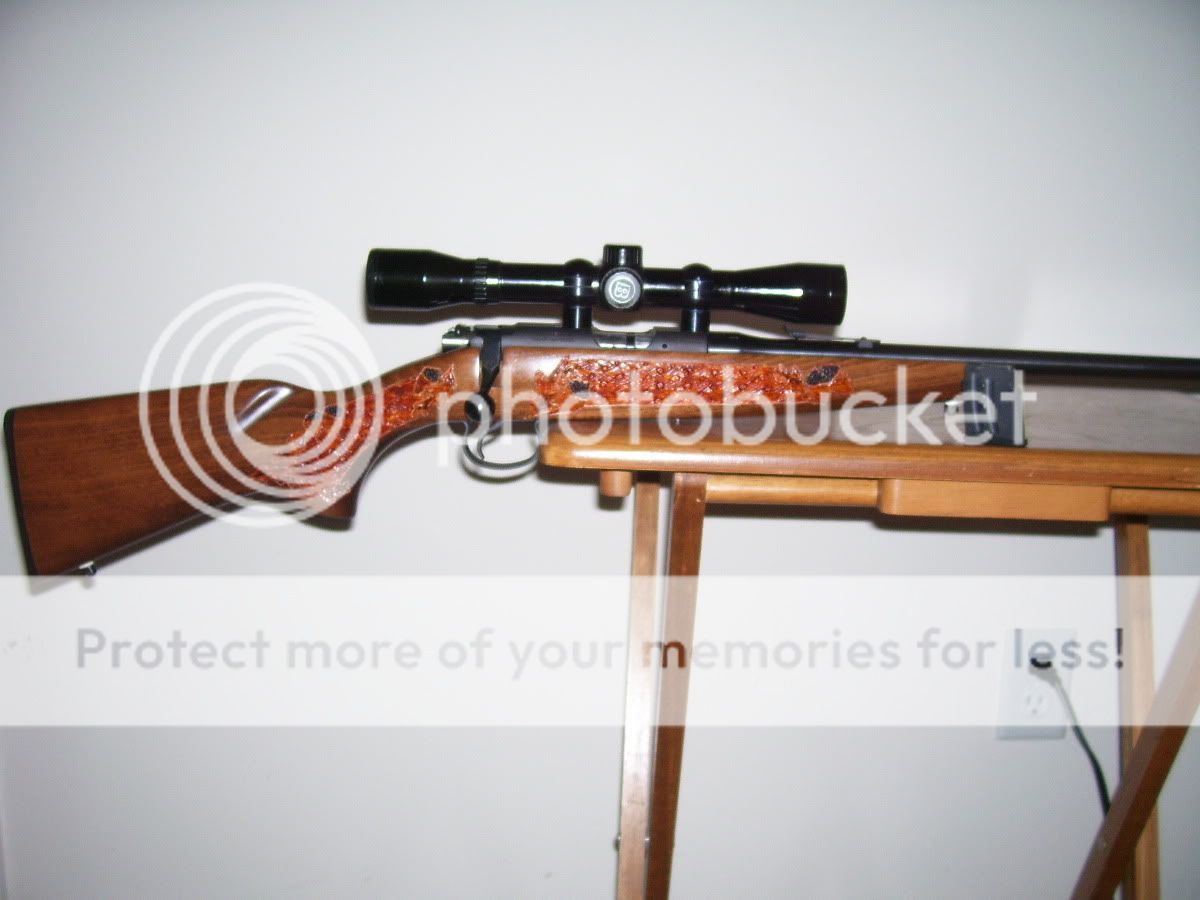 Cz Scout Make Over | Rimfire Central Firearm Forum