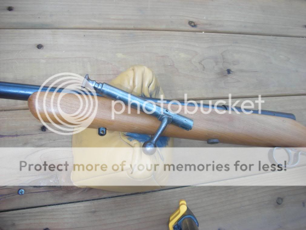 Anybody know what model Savage this is? | Rimfire Central Firearm Forum