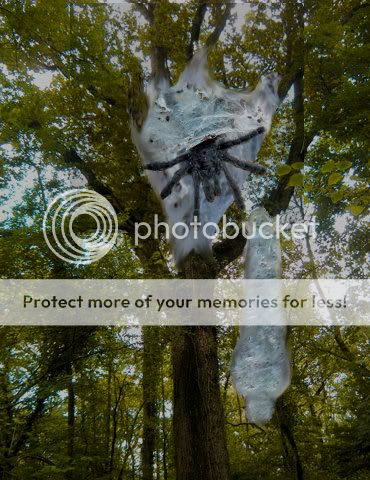 Past the Dimrill Gate by WendWriter