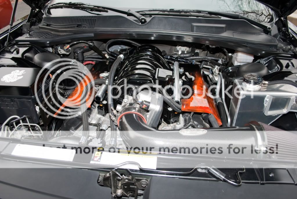 Engine bay update | Dodge Challenger Forum