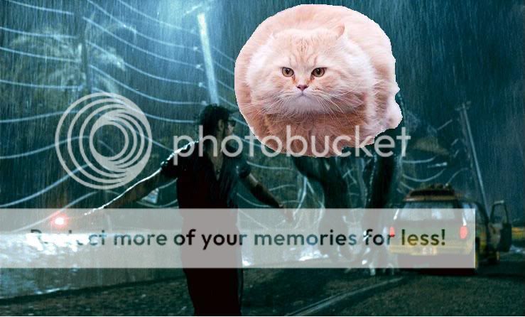 Levitation cat is levitating - Page 8 - NASIOC