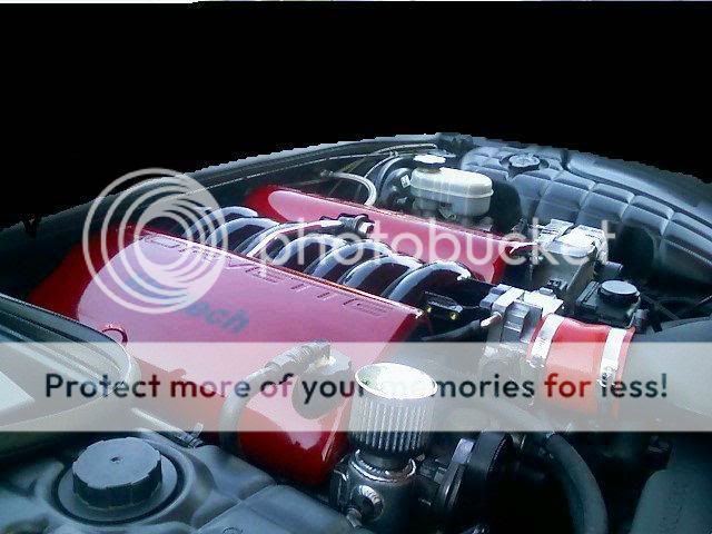 Custom Cartek ported/painted LS6 Intake - CorvetteForum - Chevrolet ...