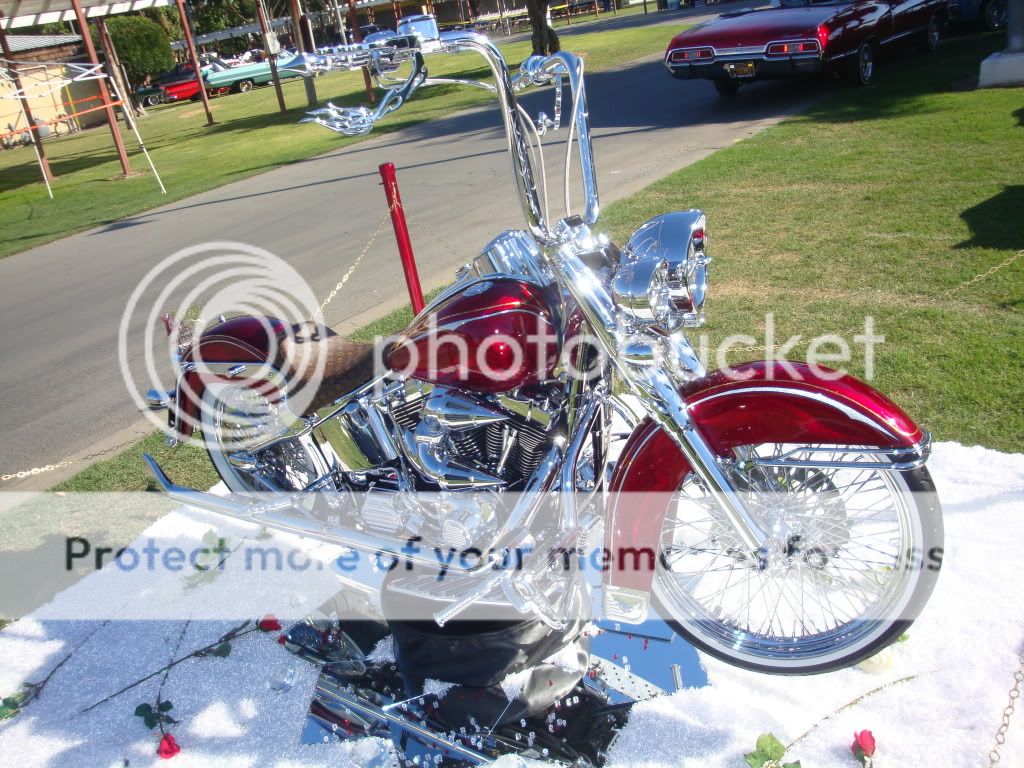 Hogs, Harleys, Baggers, Choppers | Page 157 | LayItLow.com Lowrider Forums