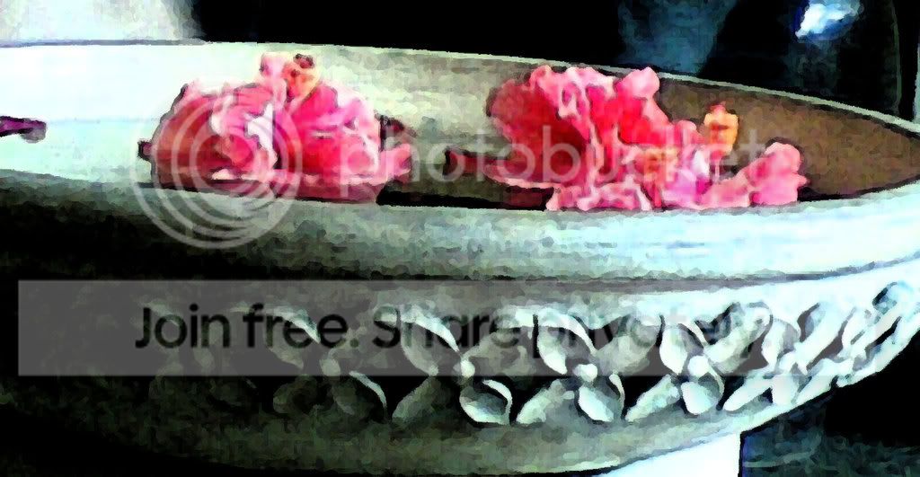 taman kata | garis bawah